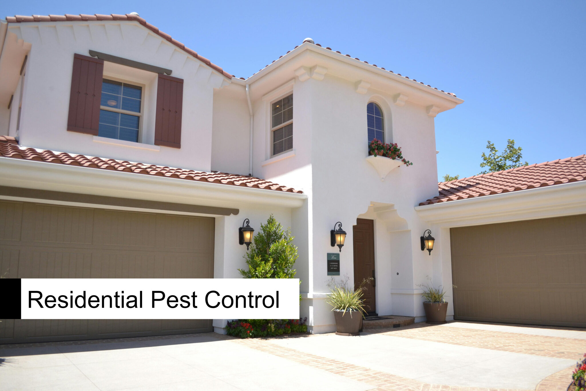 5 Star Pest Control and Termite Services – You Got Pests? We Put Them ...